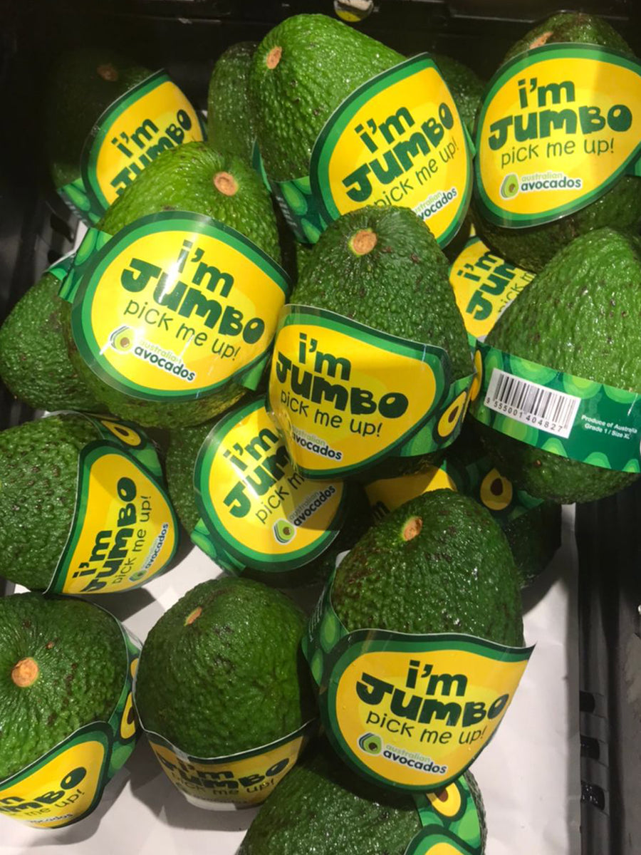 AVOCADO JUMBO- PC – Village Grocer - M City