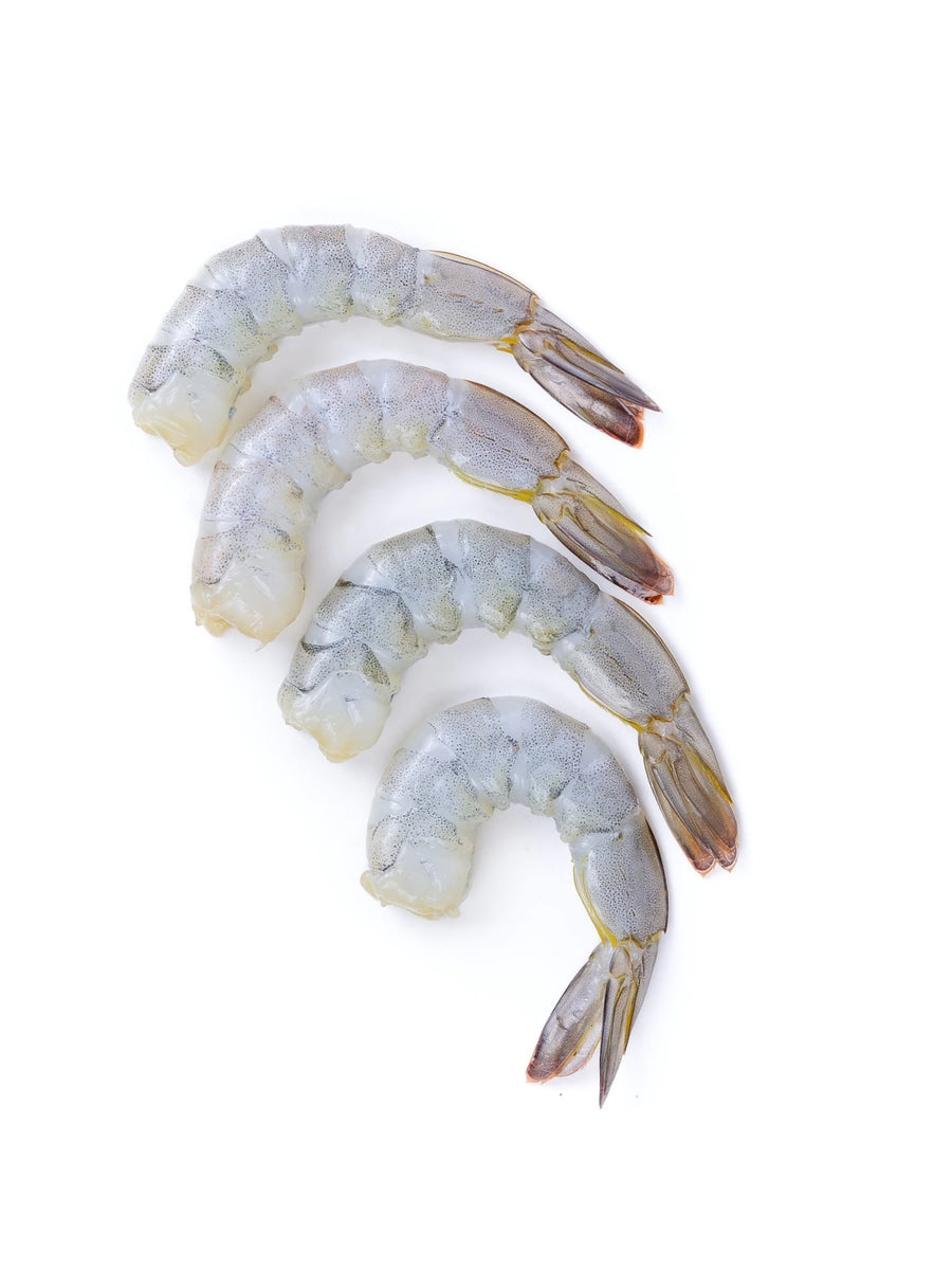 SHRIMP SHELL OFF XL (+/- 250G) – Village Grocer - M City