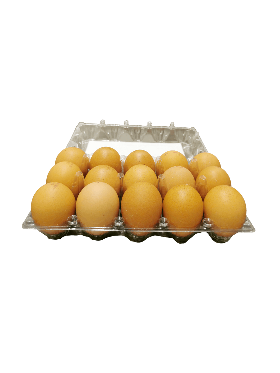 SAVOIR OMEGA LUTEIN EGG 15S – Village Grocer - M City