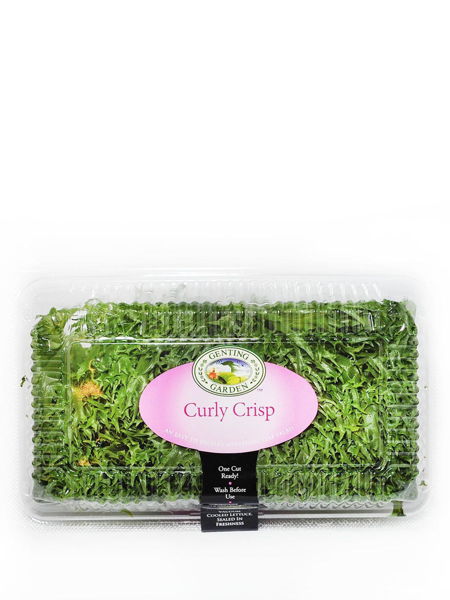 GG CURLY CRISP LETTUCE PKT – Village Grocer - M City