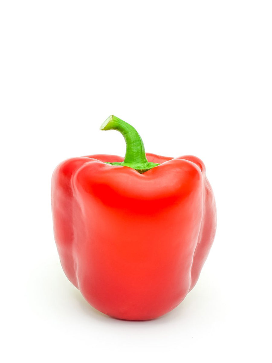 RED CAPSICUM (LADA BESAR MERAH) +/-350G – Village Grocer - M City