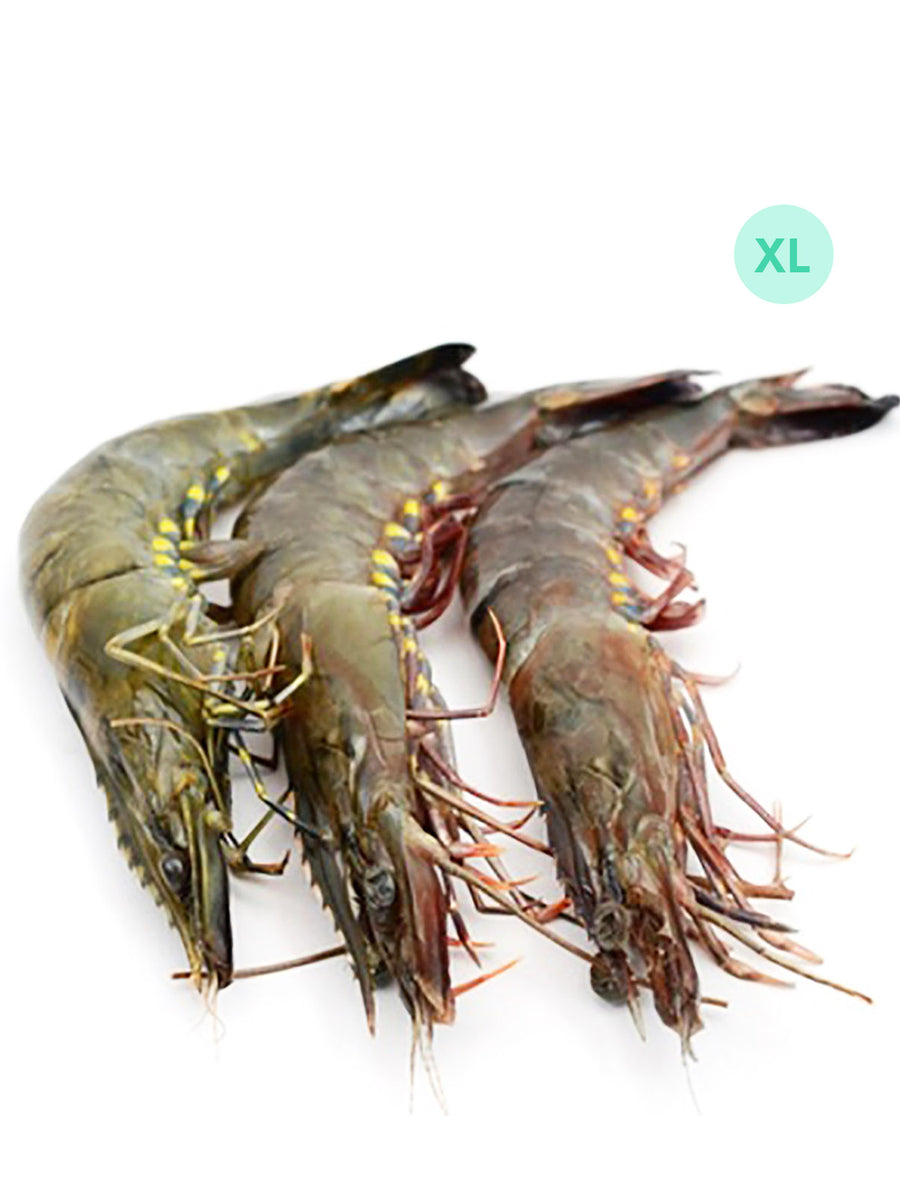 UDANG LAUT BESAR/ KING PRAWN XL +/-1KG – Village Grocer - M City