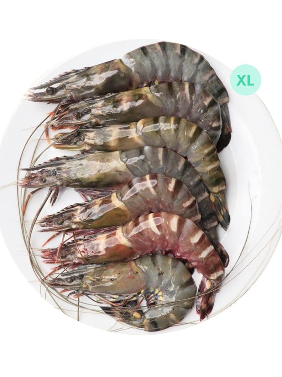UDANG HARIMAU/TIGER PRAWN XL (+/-1KG) – Village Grocer - M City