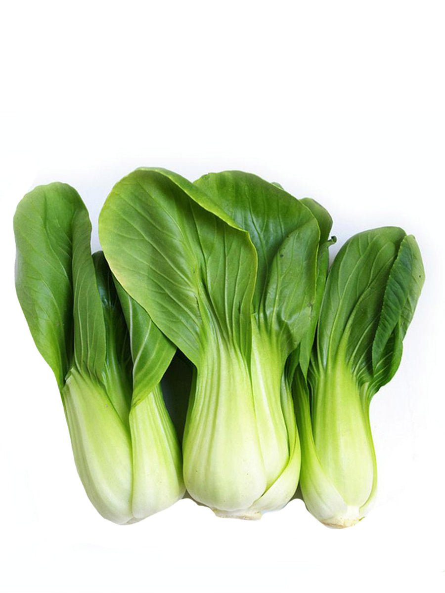 SIEW PAK CHOY +/- 350G – Village Grocer - M City