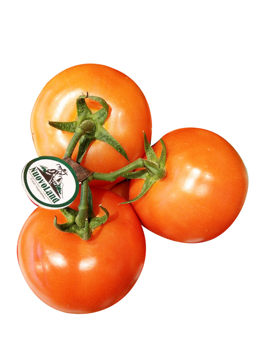 VINE RIPENED TRUSS TOMATO (+/-700G) – Village Grocer - M City